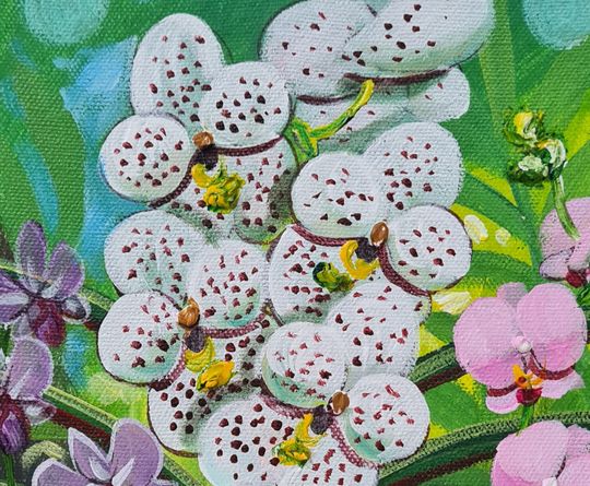 Waling Waling Series 2