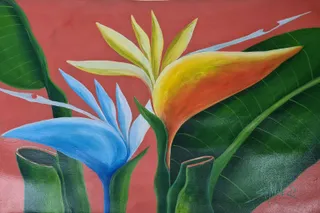 Marmelo Valencia - Birds of Paradise Series - drybrush Gallery ...