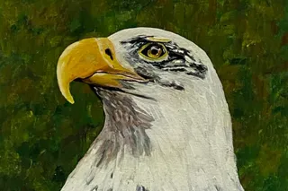 Ruelinda Dooc - Kawal Agila - drybrush Gallery - Philippine Art